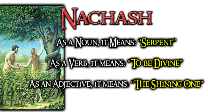 Genesis I: Eden - God in a Nutshell