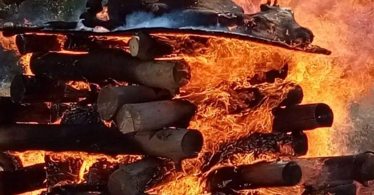 Red Heifer Update: Heifer Burning Practice - God in a Nutshell